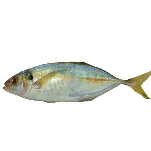 Ikan Selar | Yellowstripe Scad (1KG) - PasarHub - Online Fresh Market