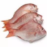 Ikan Tilapia Merah | Red Tilapia (1KG) - PasarHub - Online Fresh Market