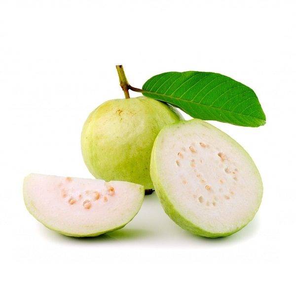 Jambu Batu | Common guava (1KG) - PasarHub - Online Fresh Market