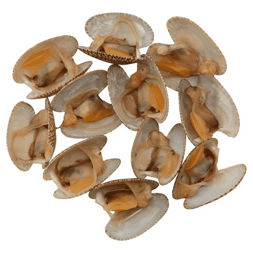 Lala (1KG) - PasarHub - Online Fresh Market