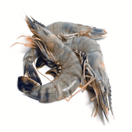 Udang | Prawn (1KG) - PasarHub - Online Fresh Market