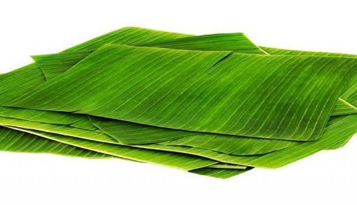 Daun Pisang | Banana Leaf - PasarHub - Online Fresh Market